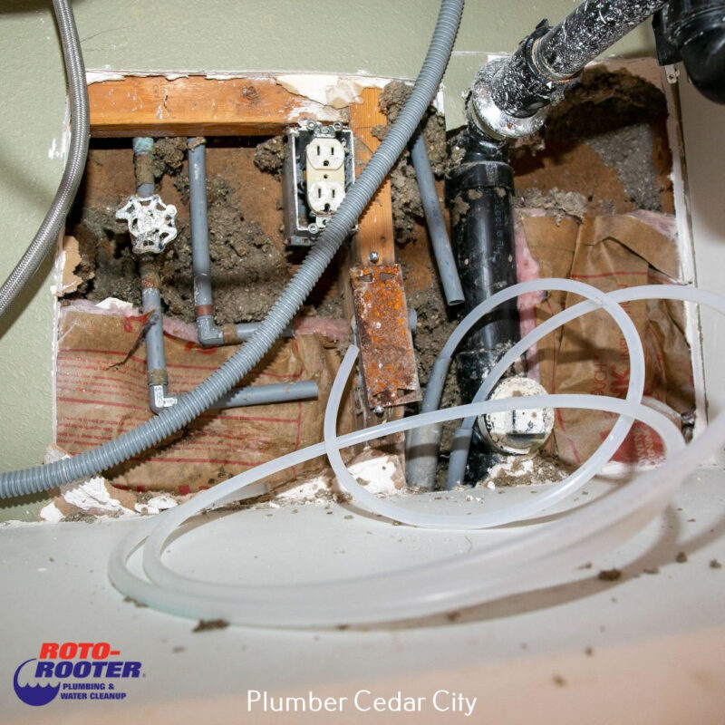 Frontier Homestead State Park Museum: Preserving Utah's History | Roto ...